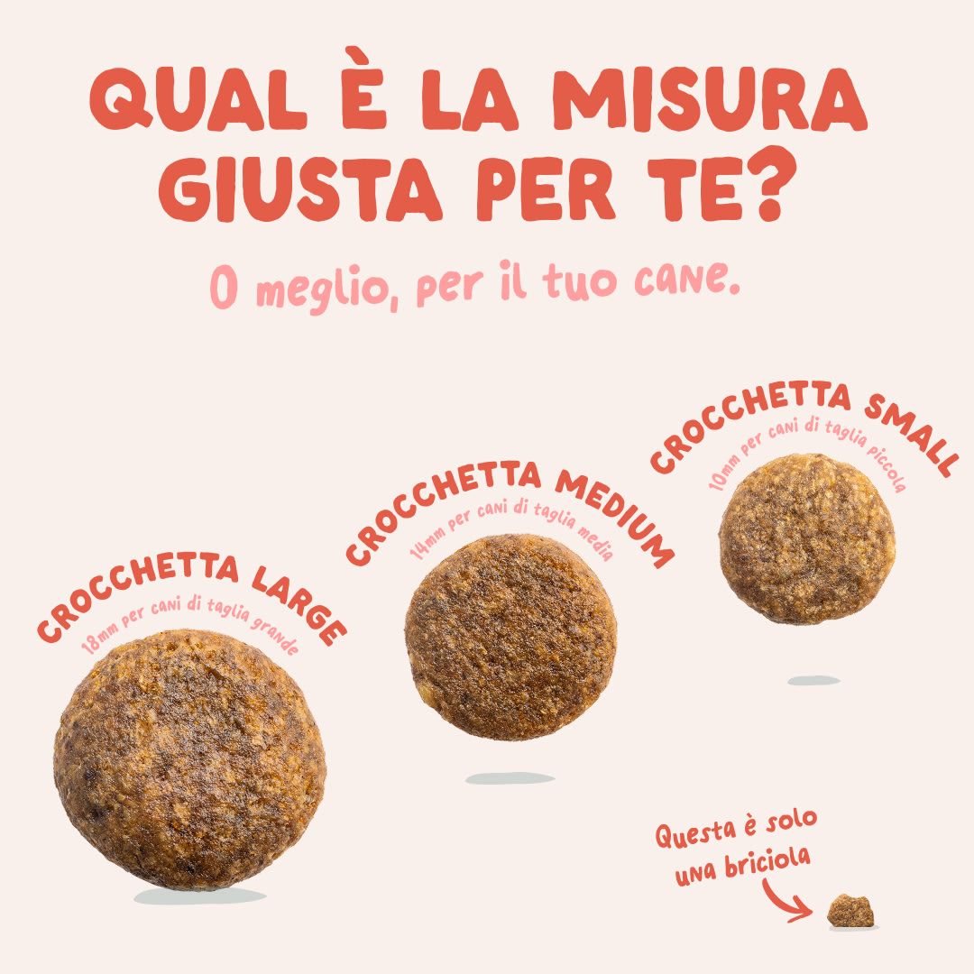 Cibo secco per cani anziani - con Pollo e Salmone freschi e glucosamina ...